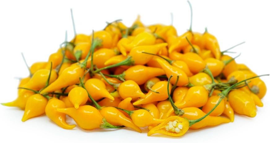 SWEETY DROPS YELLOW Pepper Seeds Organically Grown At Unique Creek ...