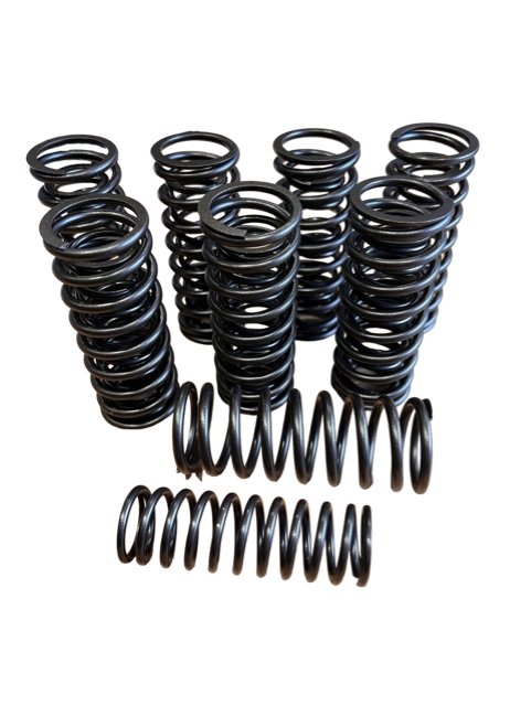 Valve spring sets
