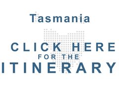 Ariel Messianic Ministries Inc - Messianic Jewish