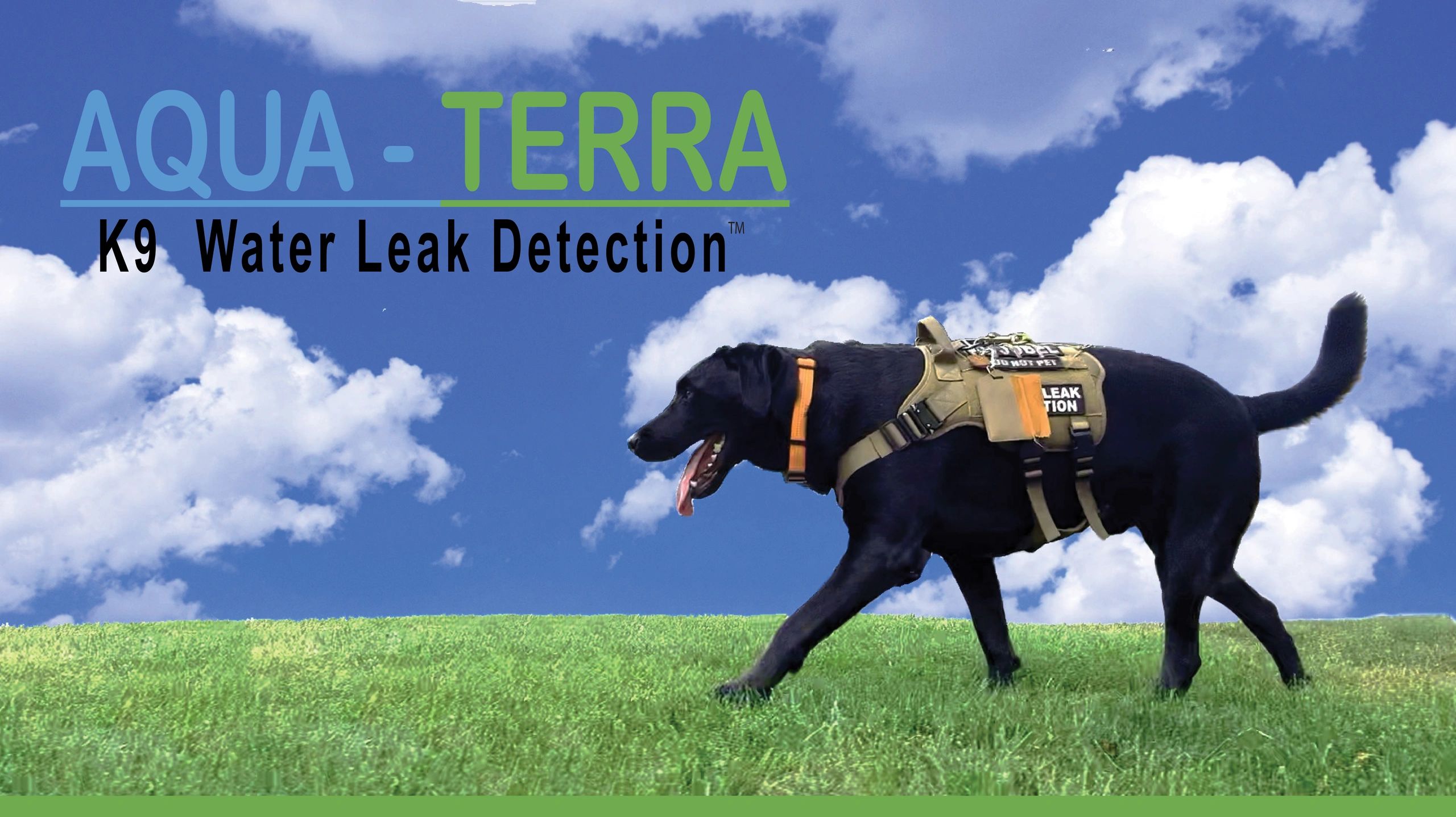 Aqua-Terra Canine Water Leak Detection - Home