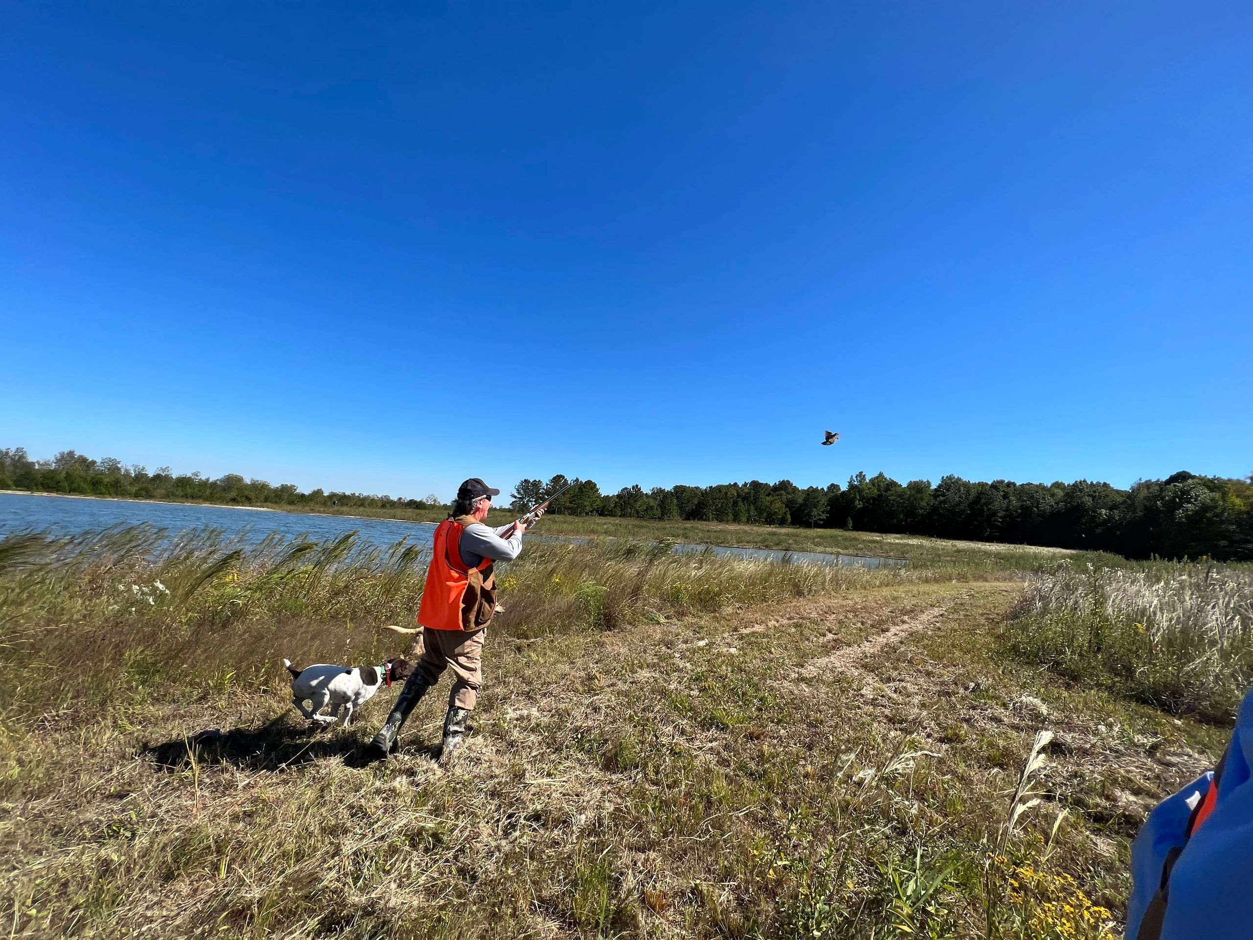 About us | Sugar Foot Preserve