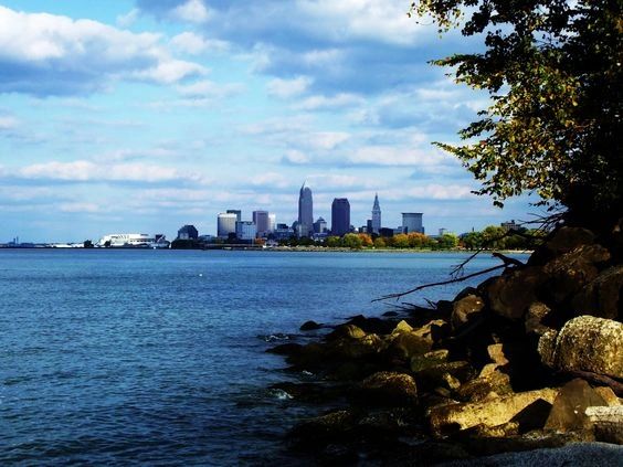 AE Property Services