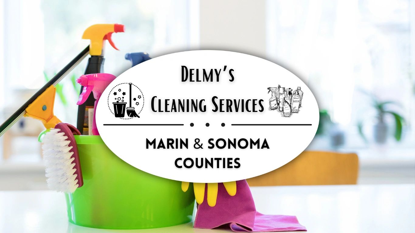 Delmy Goodwin - Magic Housekeeping