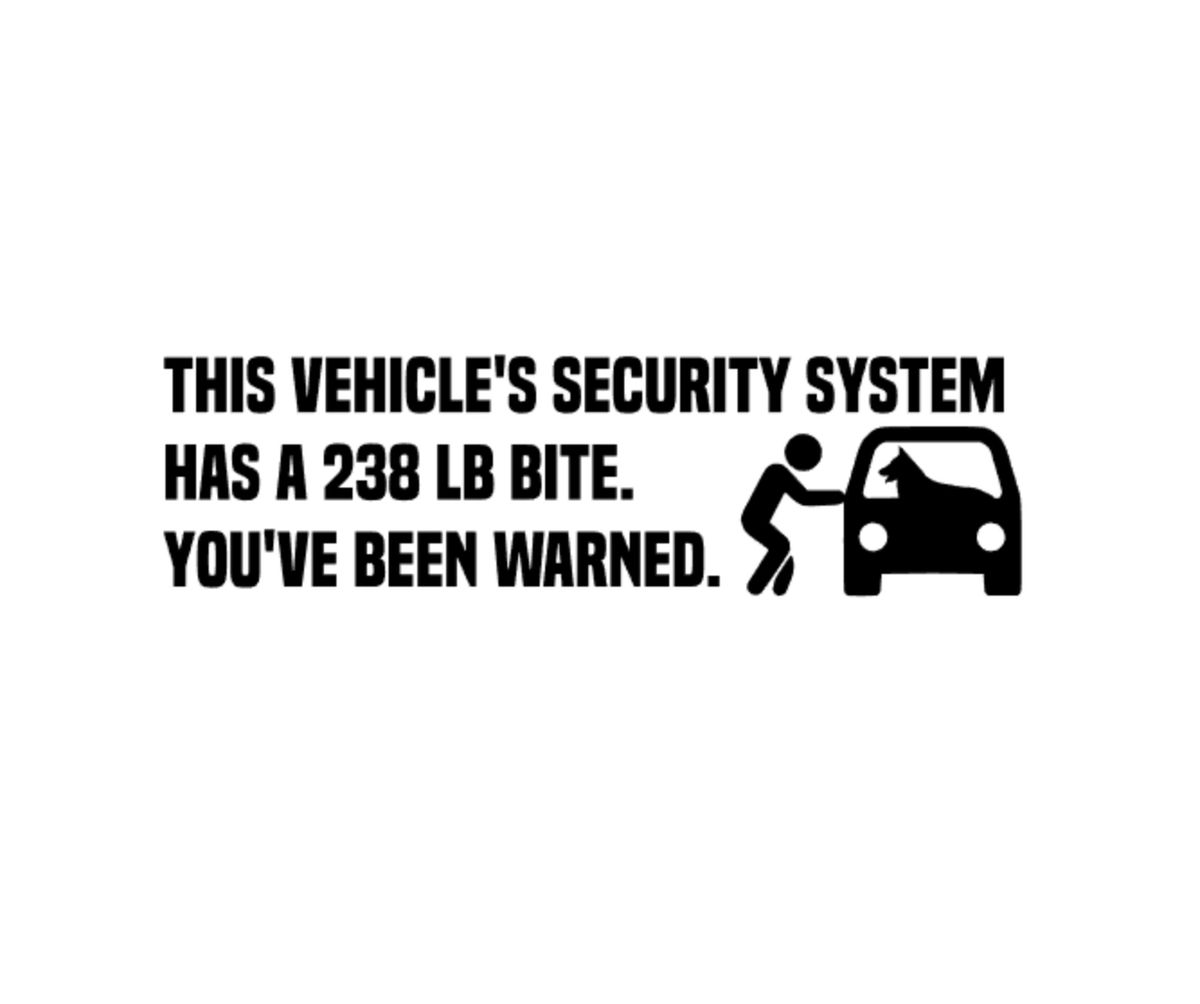 Vehicle Security System Decal