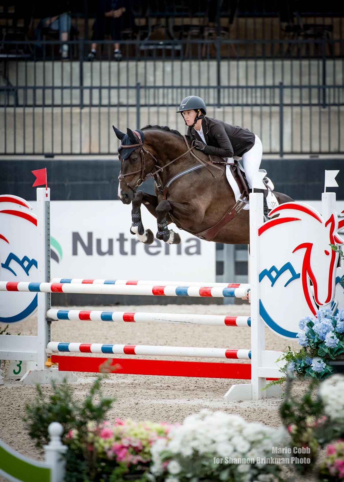 Show Jumping | Young Horses | S. Lawrence Equestrian