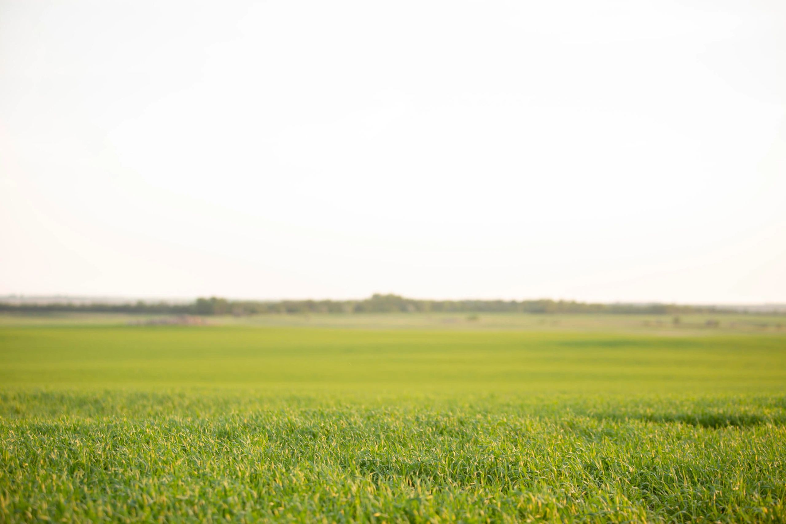 Crop-Hail Insurance | Agri-Plan