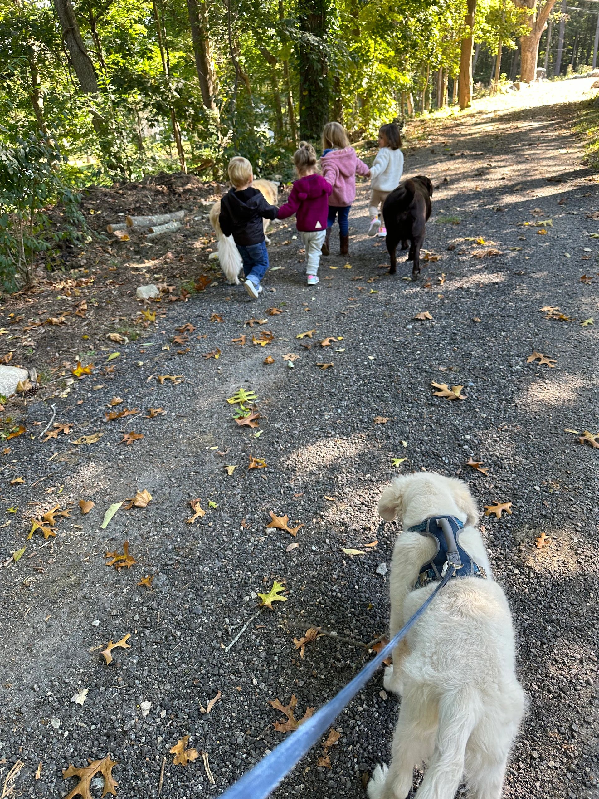 Puddle Jumpers Playschool