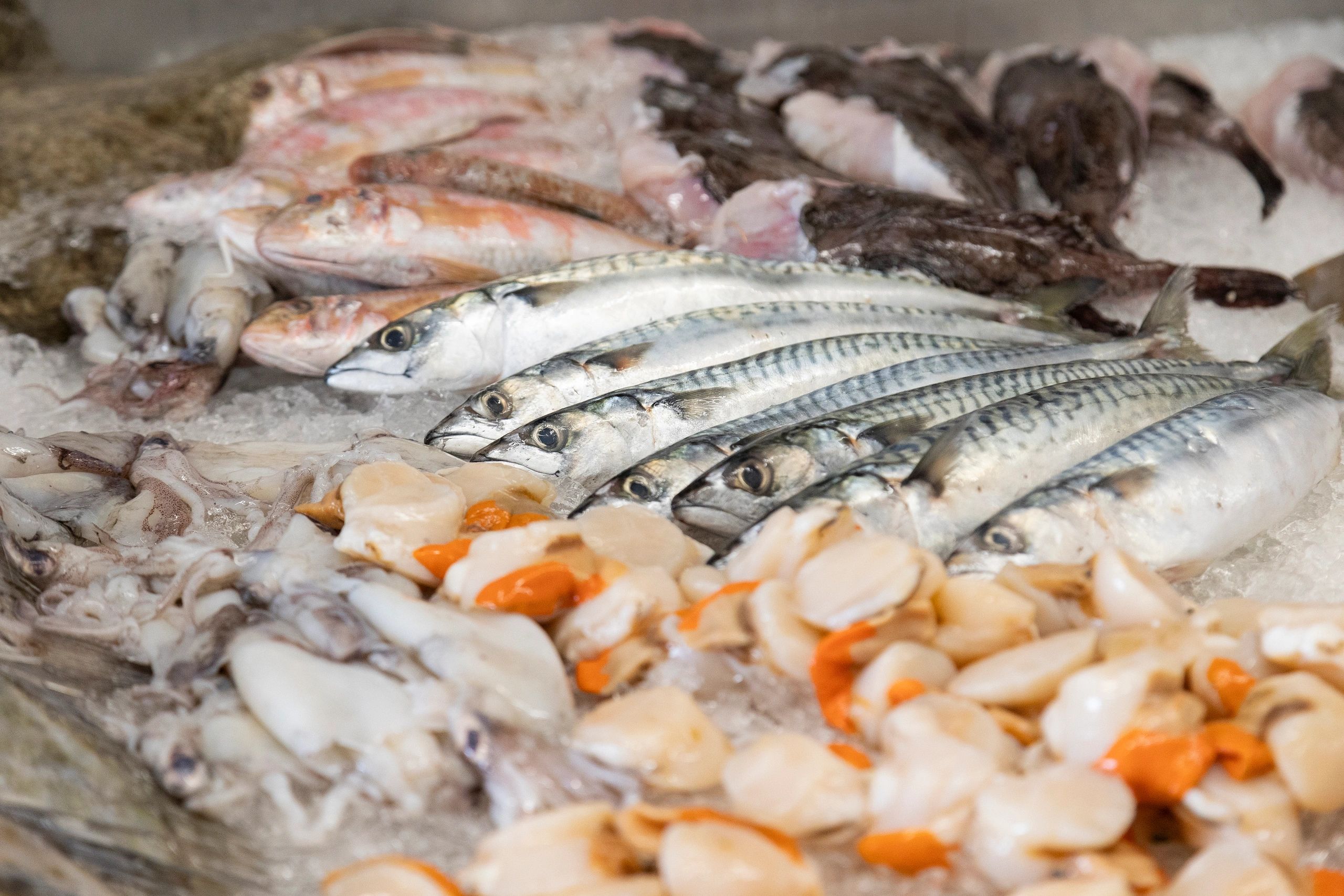 Pescatarian meal ideas