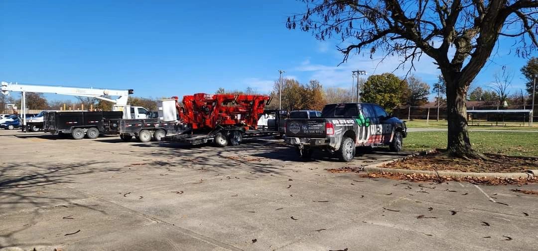 Professional Tree Service - Weaver Tree Services