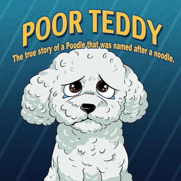 Poor Teddy