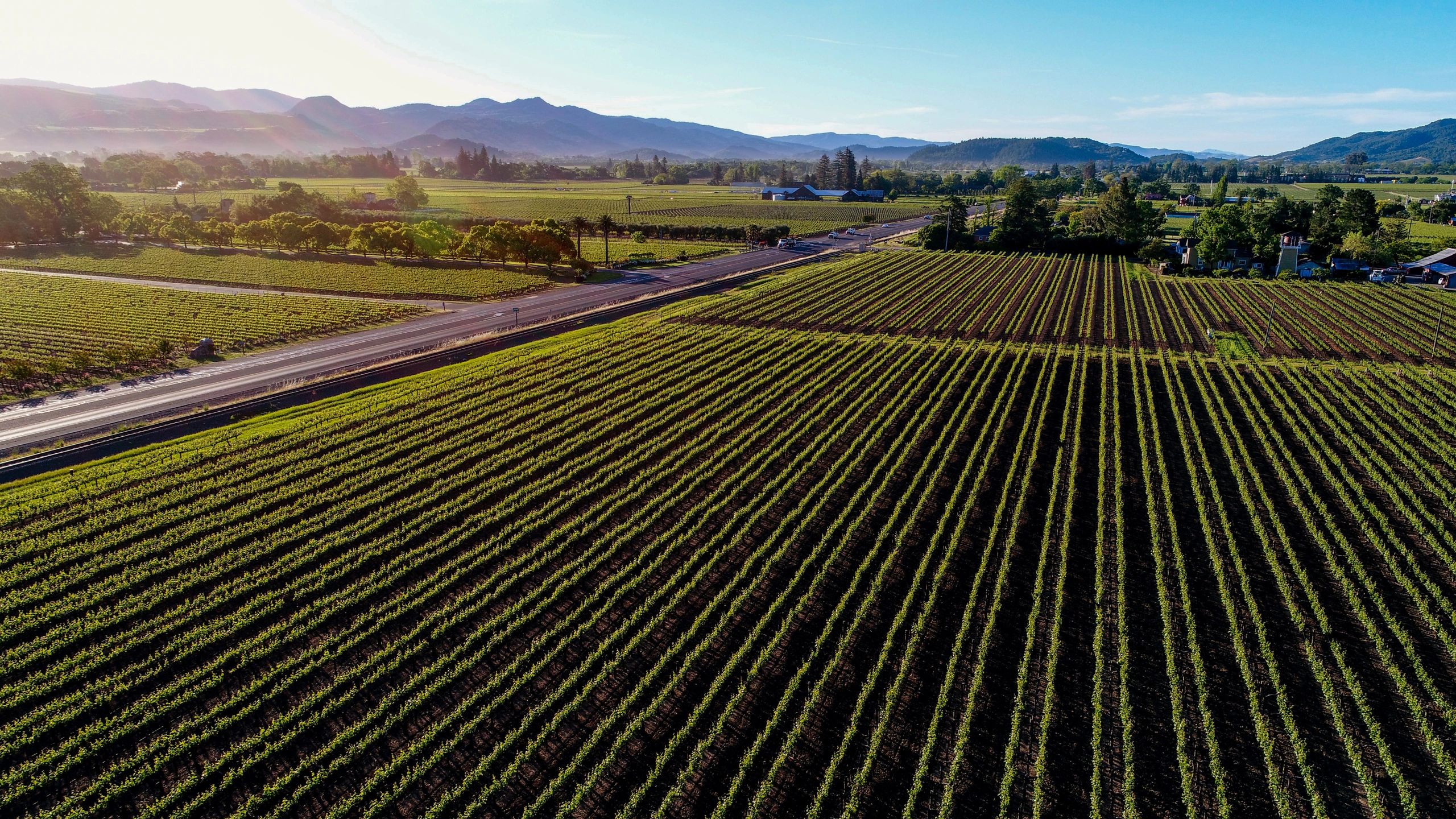 WEST COAST WINE GROUP
