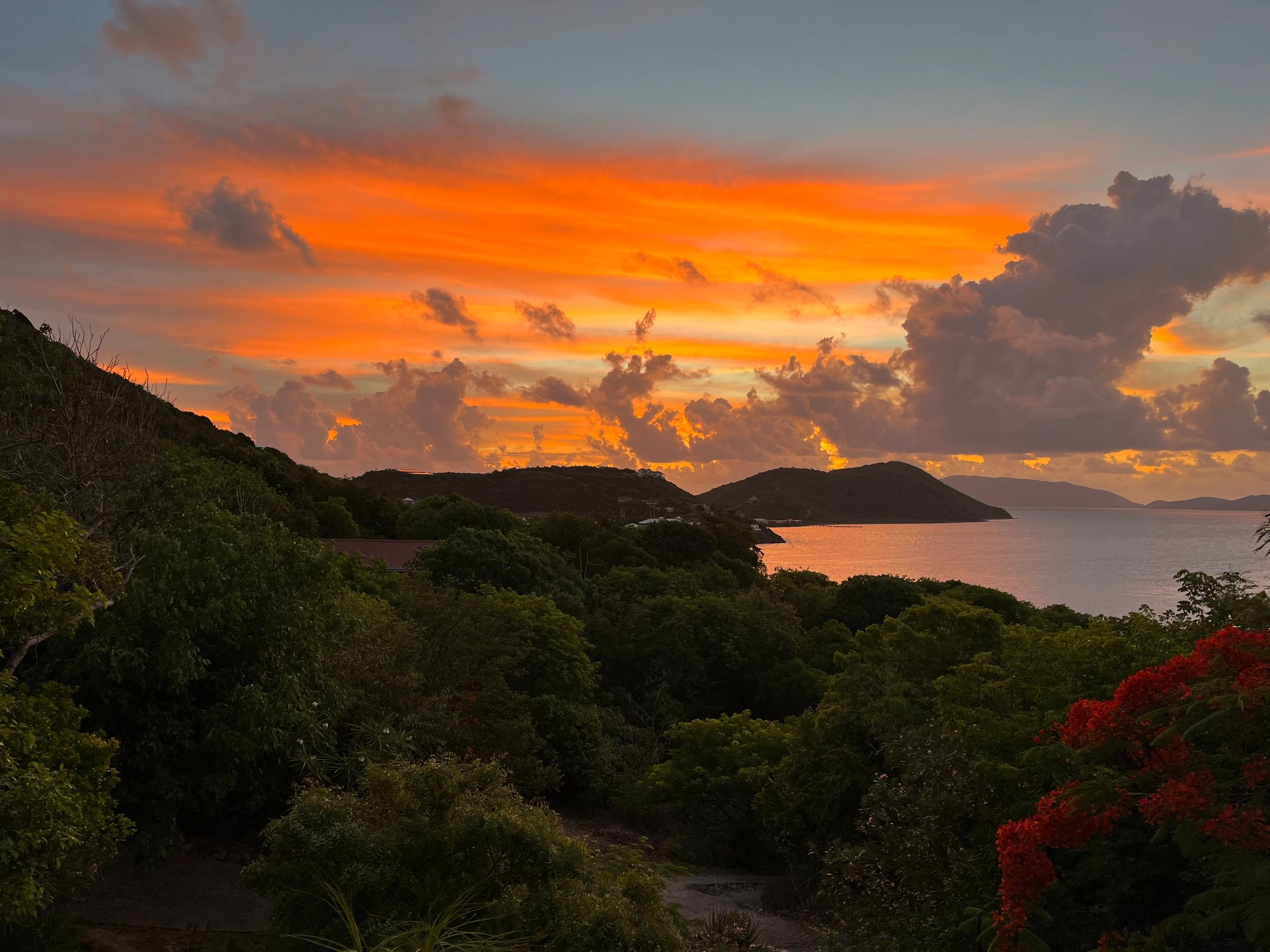 Aloe House BVI - Holiday Rental, Vacation Rental, Vacation Villa