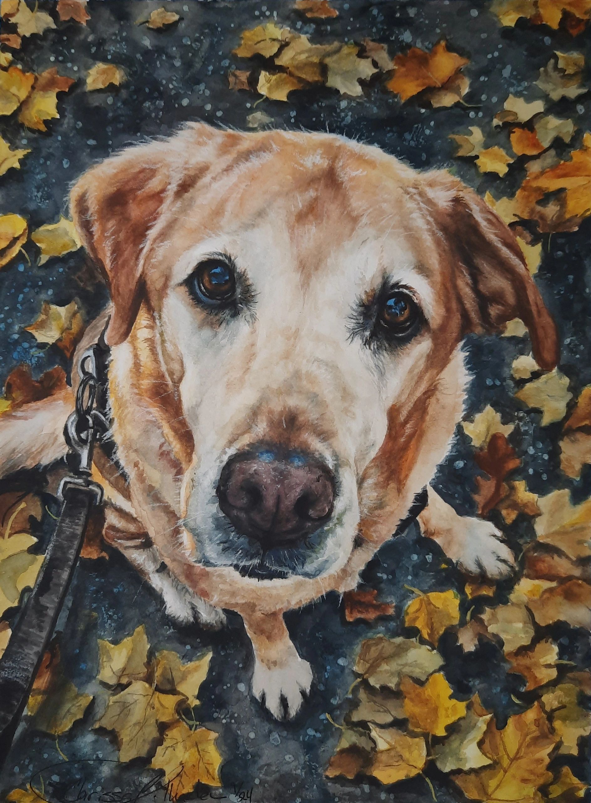 Pricing | Mama House Studio