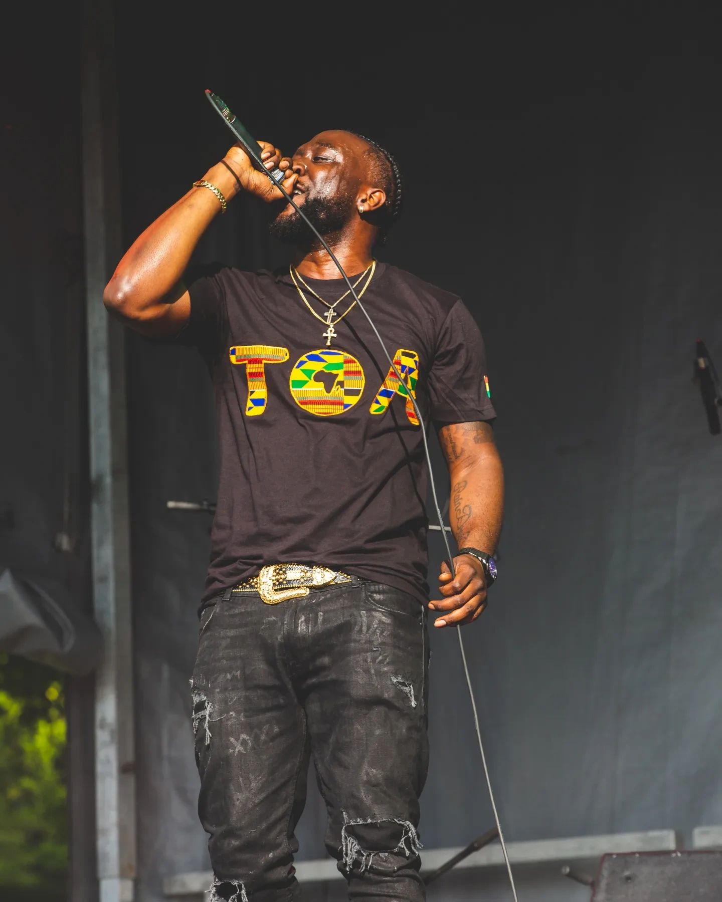 Will TOA Official Website