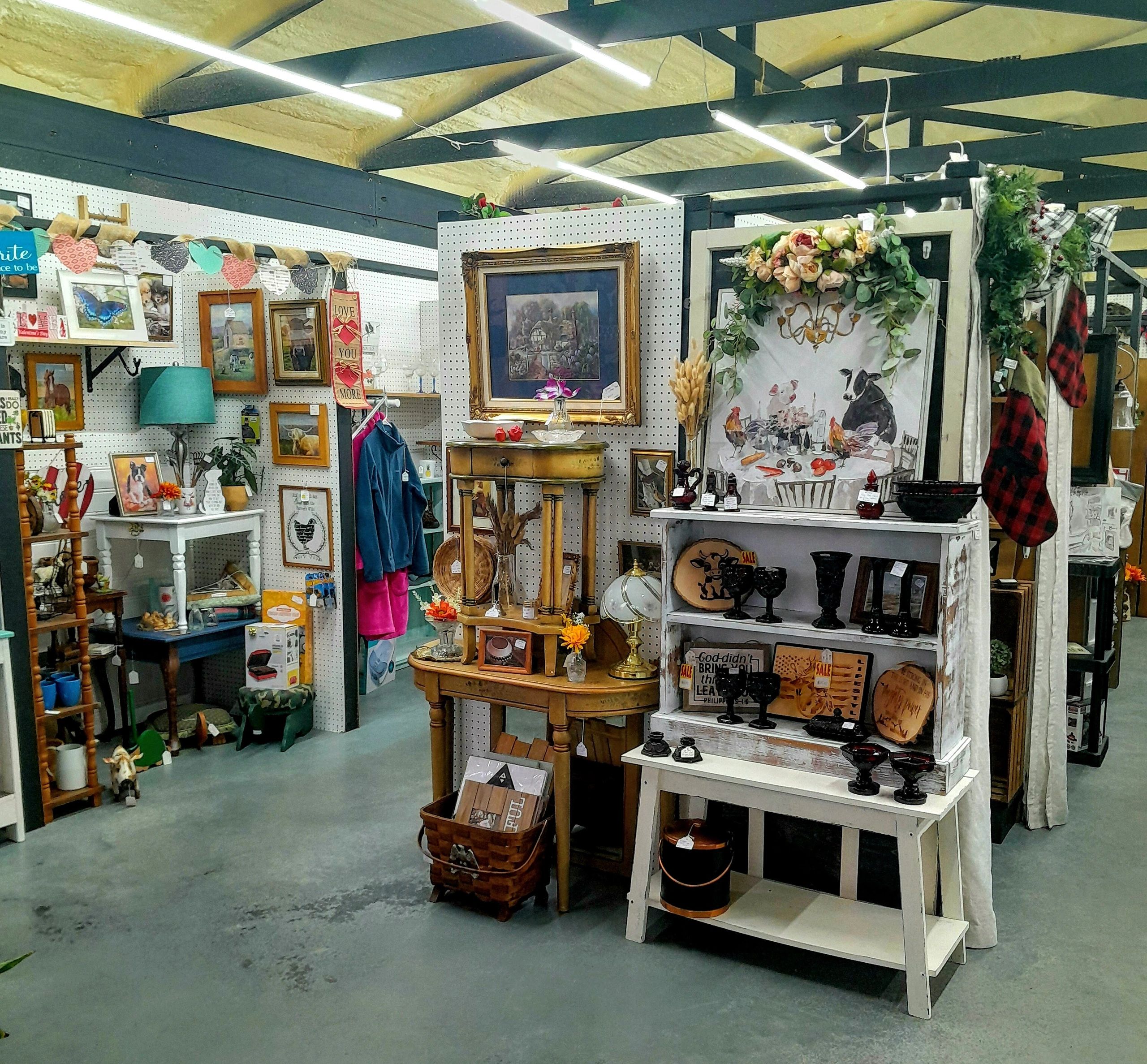 Find the Best Prices at Our Flea Market & House Plant Store!