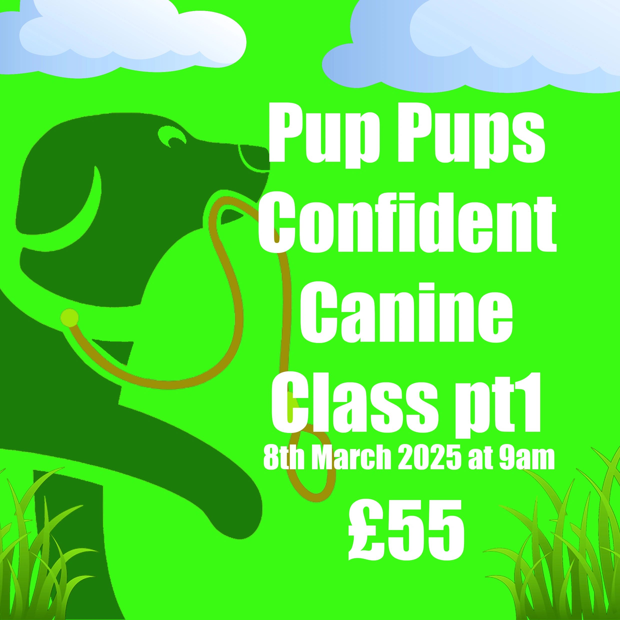 Pup Pups Confident Canine Classes Part 1 - 8th March 2025