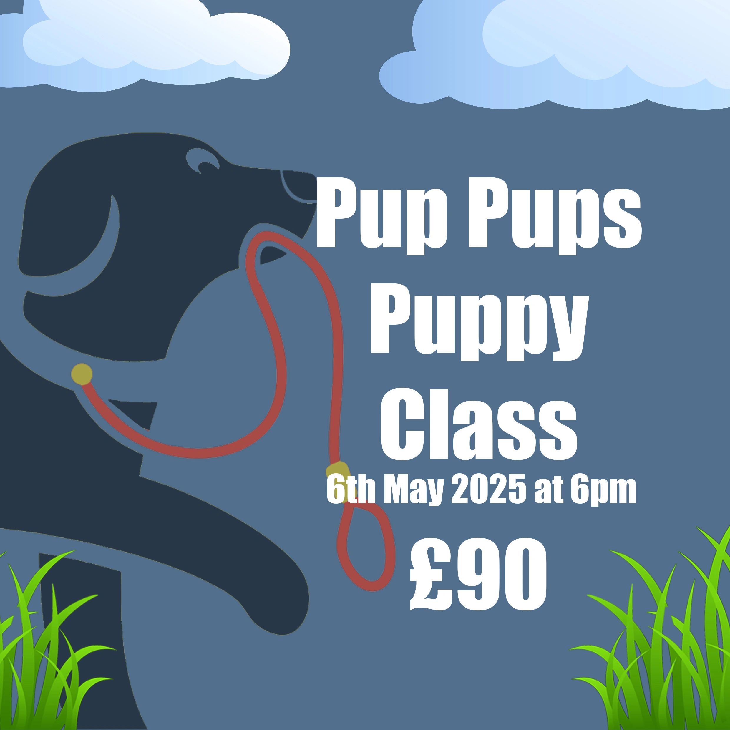 Pup Pups Puppy Foundation Class - 6th May 2025