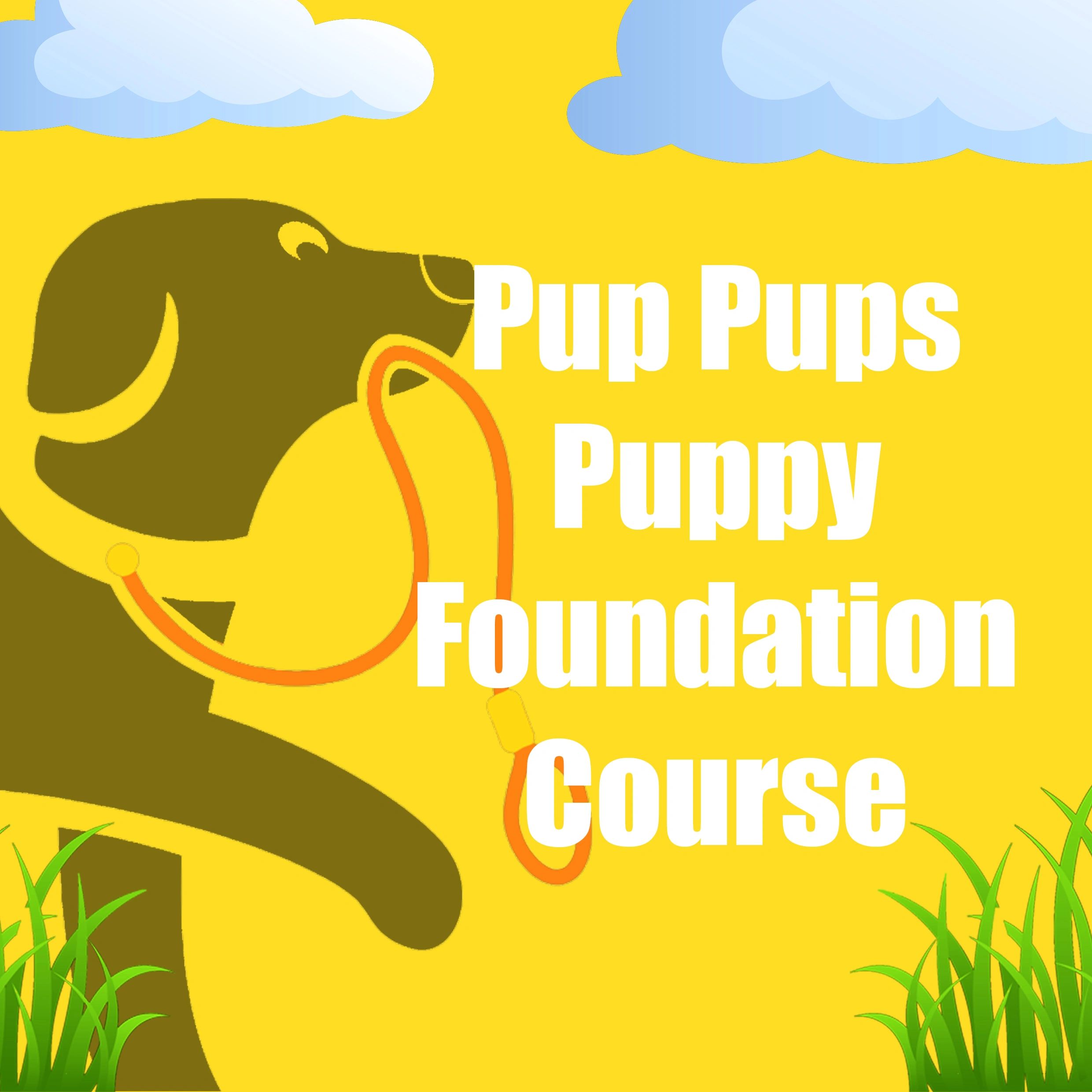 Pup Pups Foundation Course - 30th August 2025