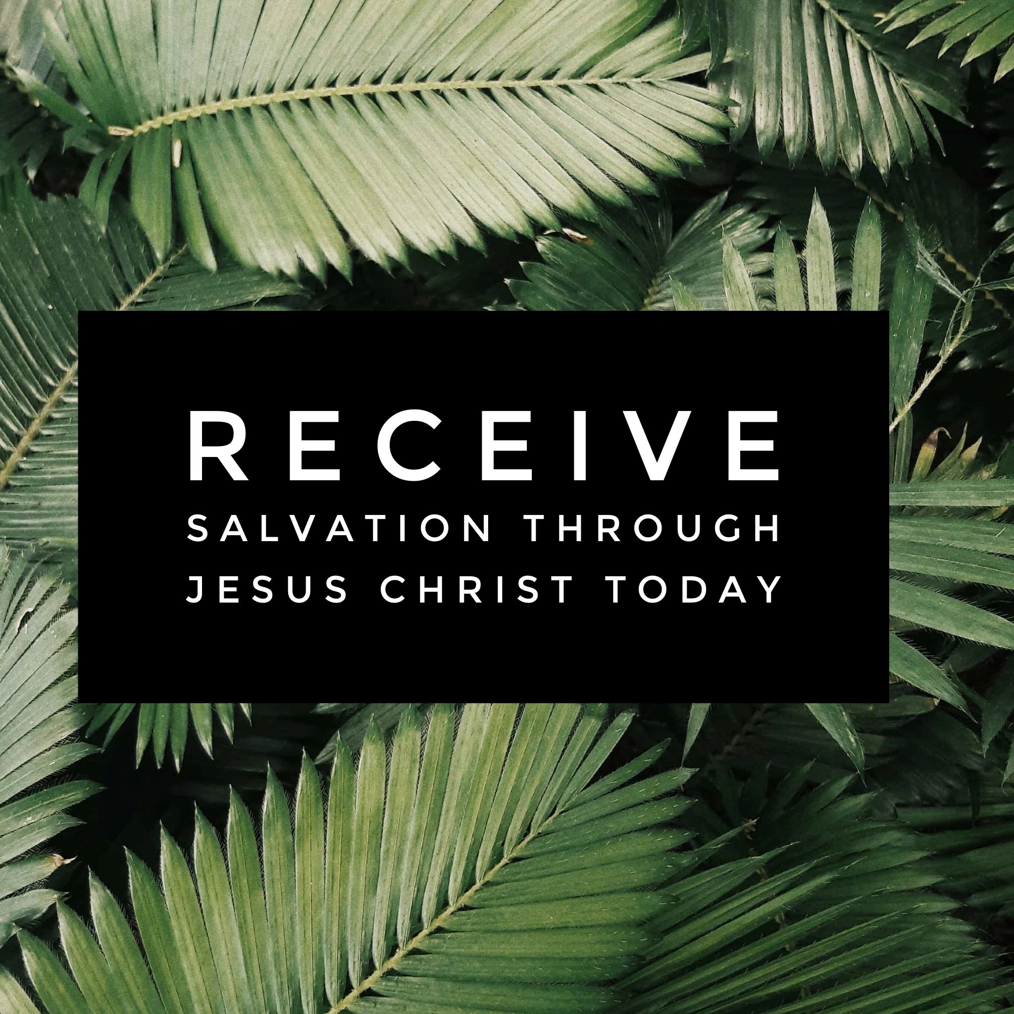 Receive Salvation