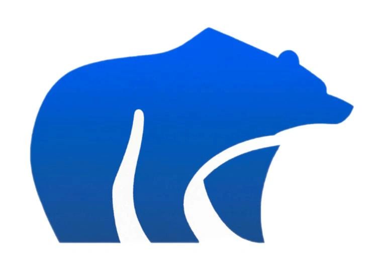 OUR SERVICES Bear Business Solutions Company Ltd OUR SERVICES Bear Business Solutions Company Ltd