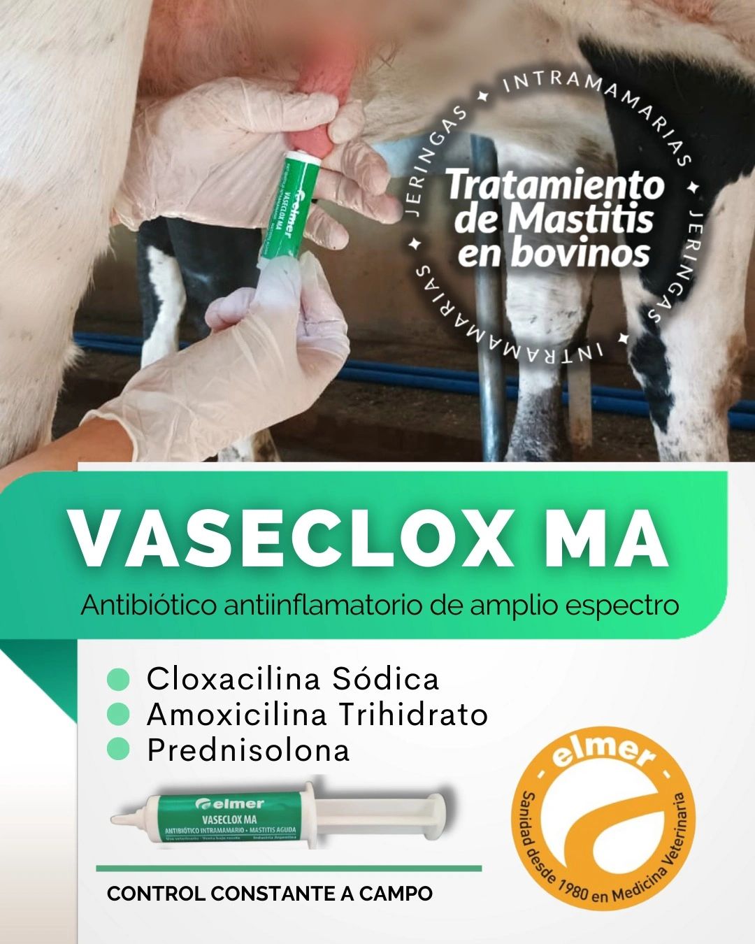 Vaseclox MA
