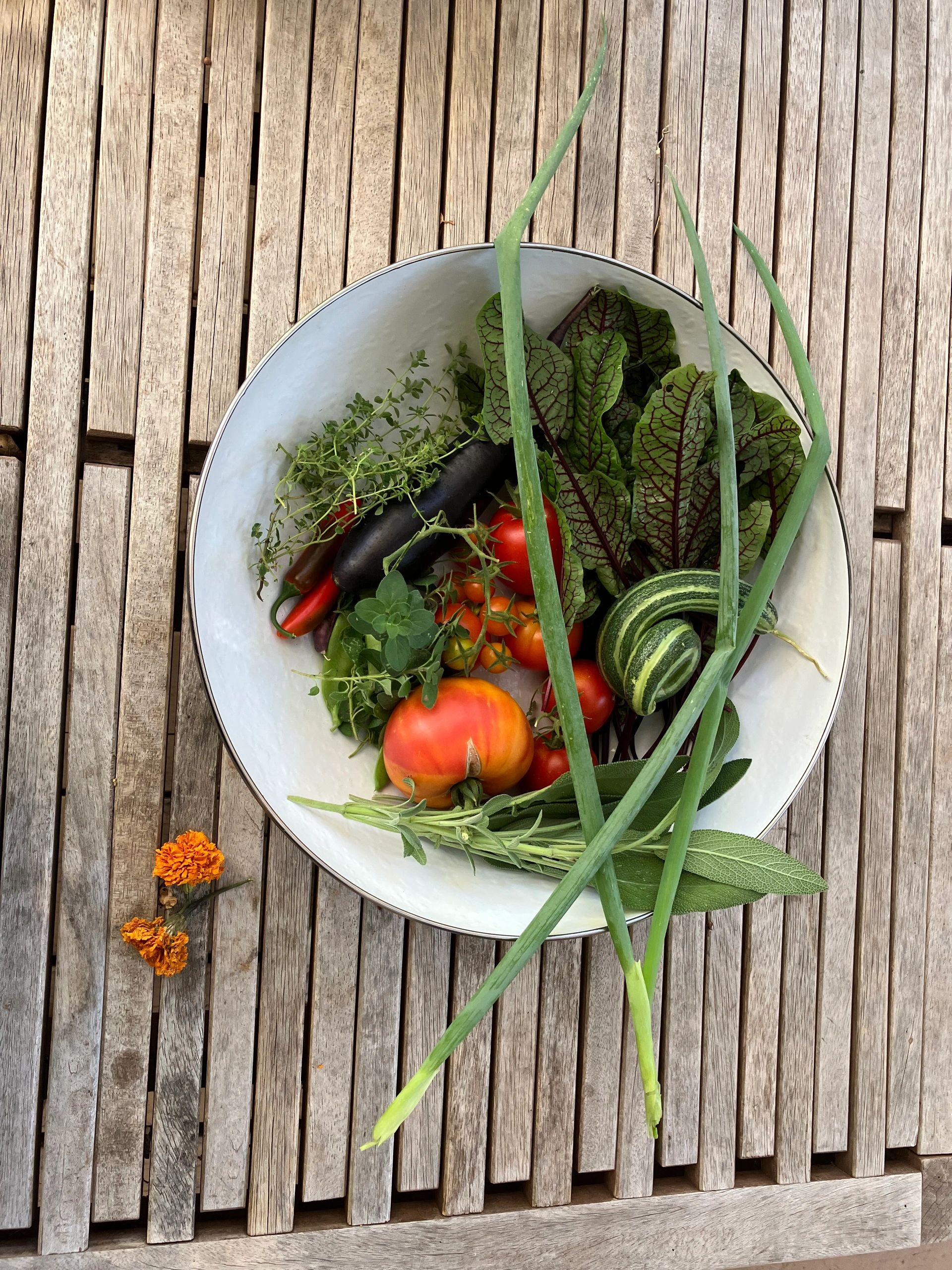 About | Crystal Robb Wellness Consultant