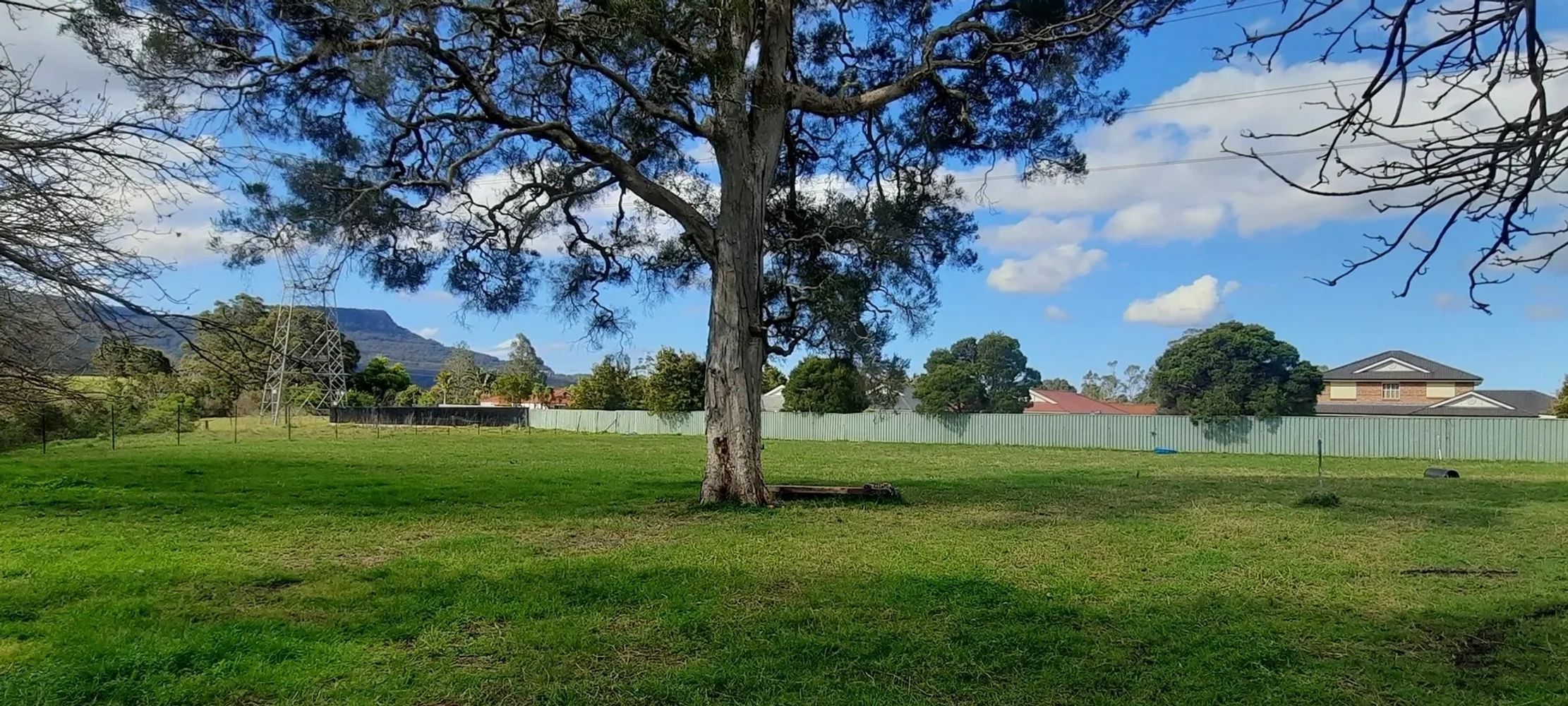 Field Dayz Doggy Daycare