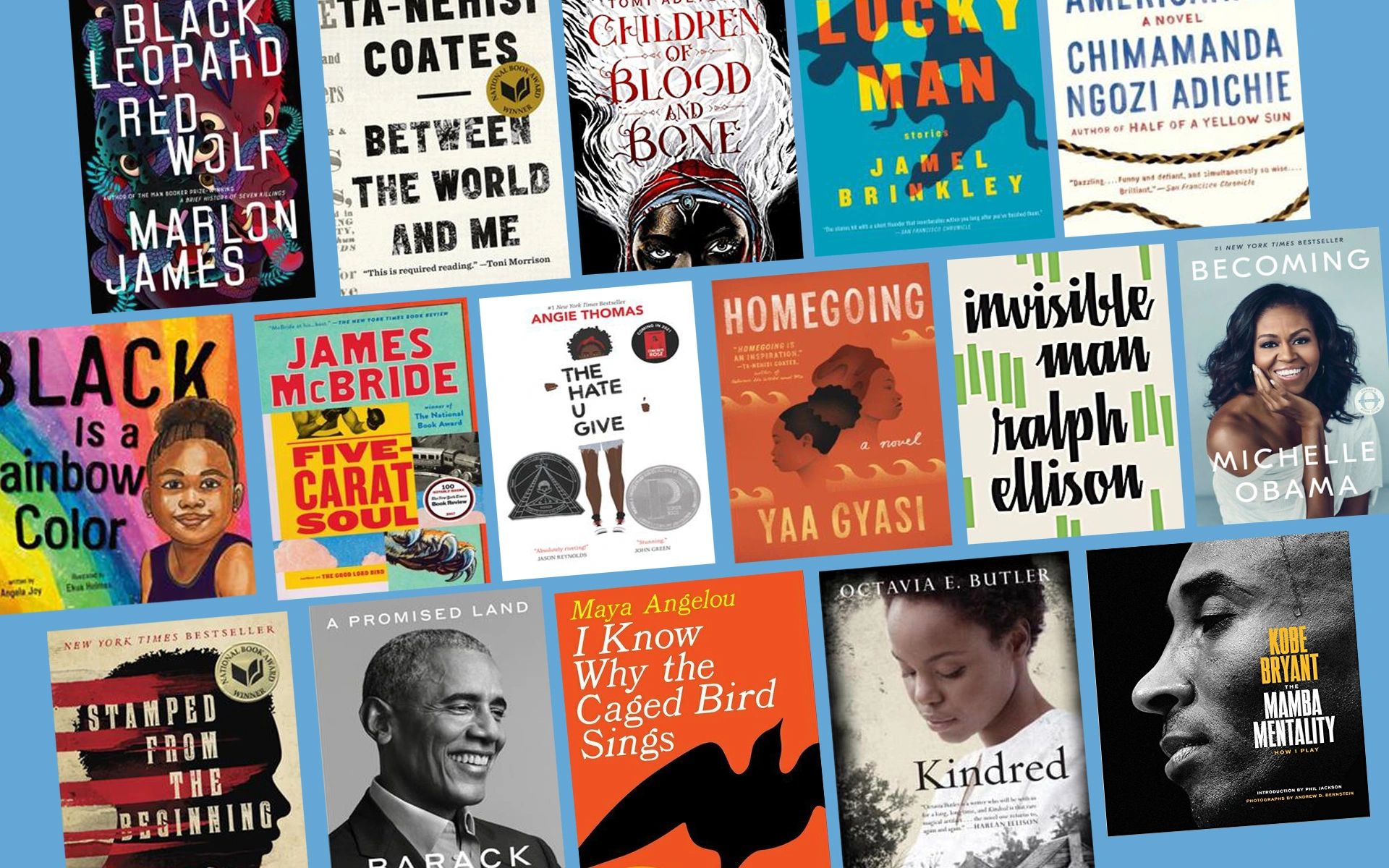 Wise Acre - Books, Bookstore