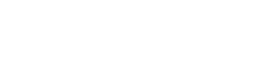 The Rectangle Coins - Japanese Bar Money 1599-1869