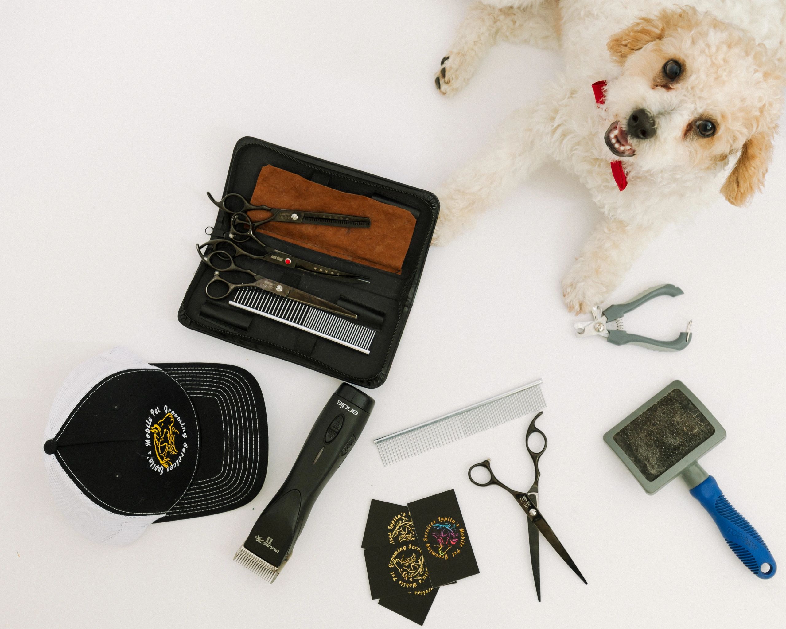 Top Mobile Pet Grooming Near Me | Lupita's Services