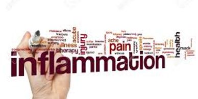 Health Benefits | NuSyn Life