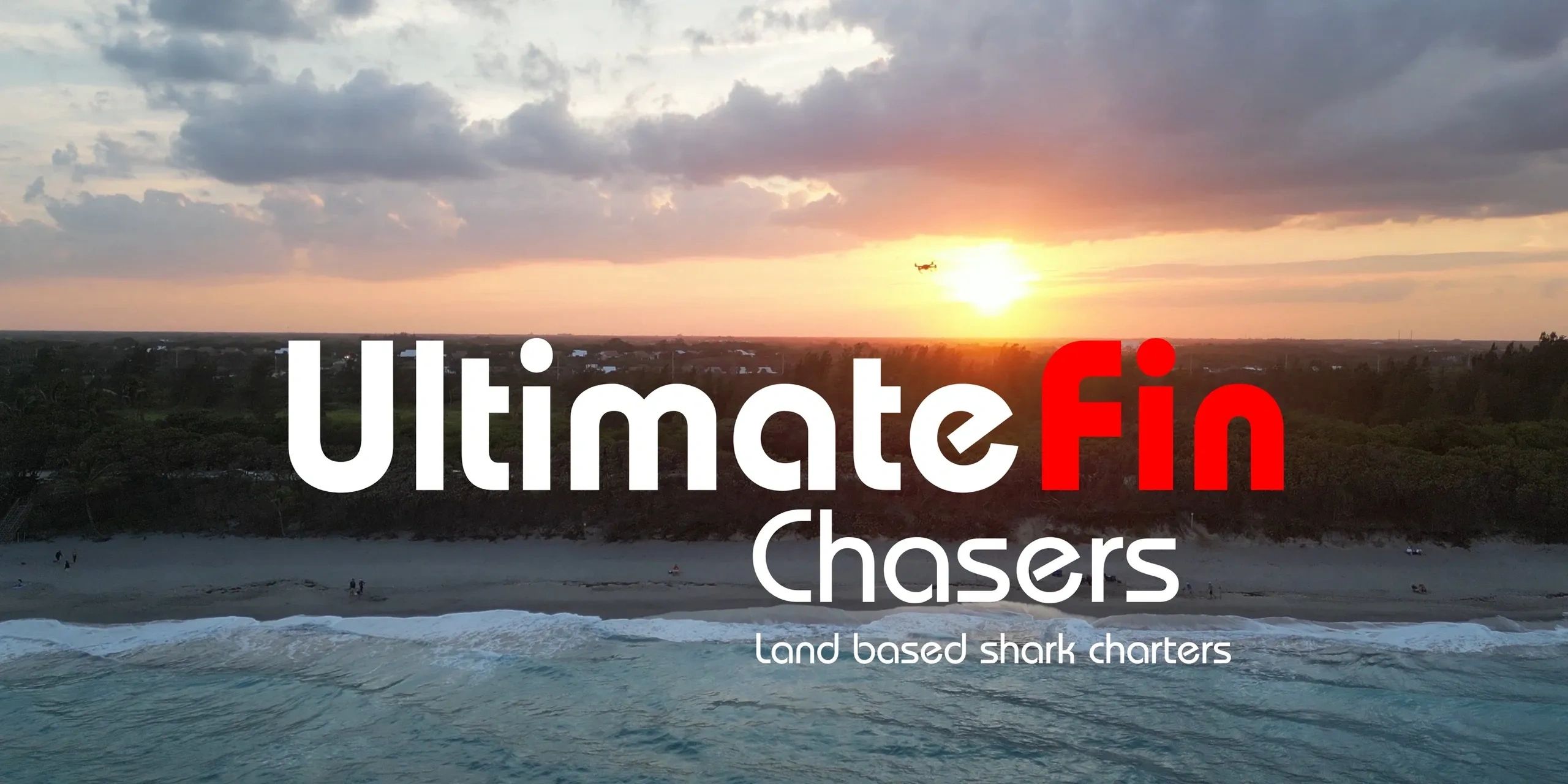 Experience Thrilling Shark Fishing Trips with Ultimate Fin Chasers