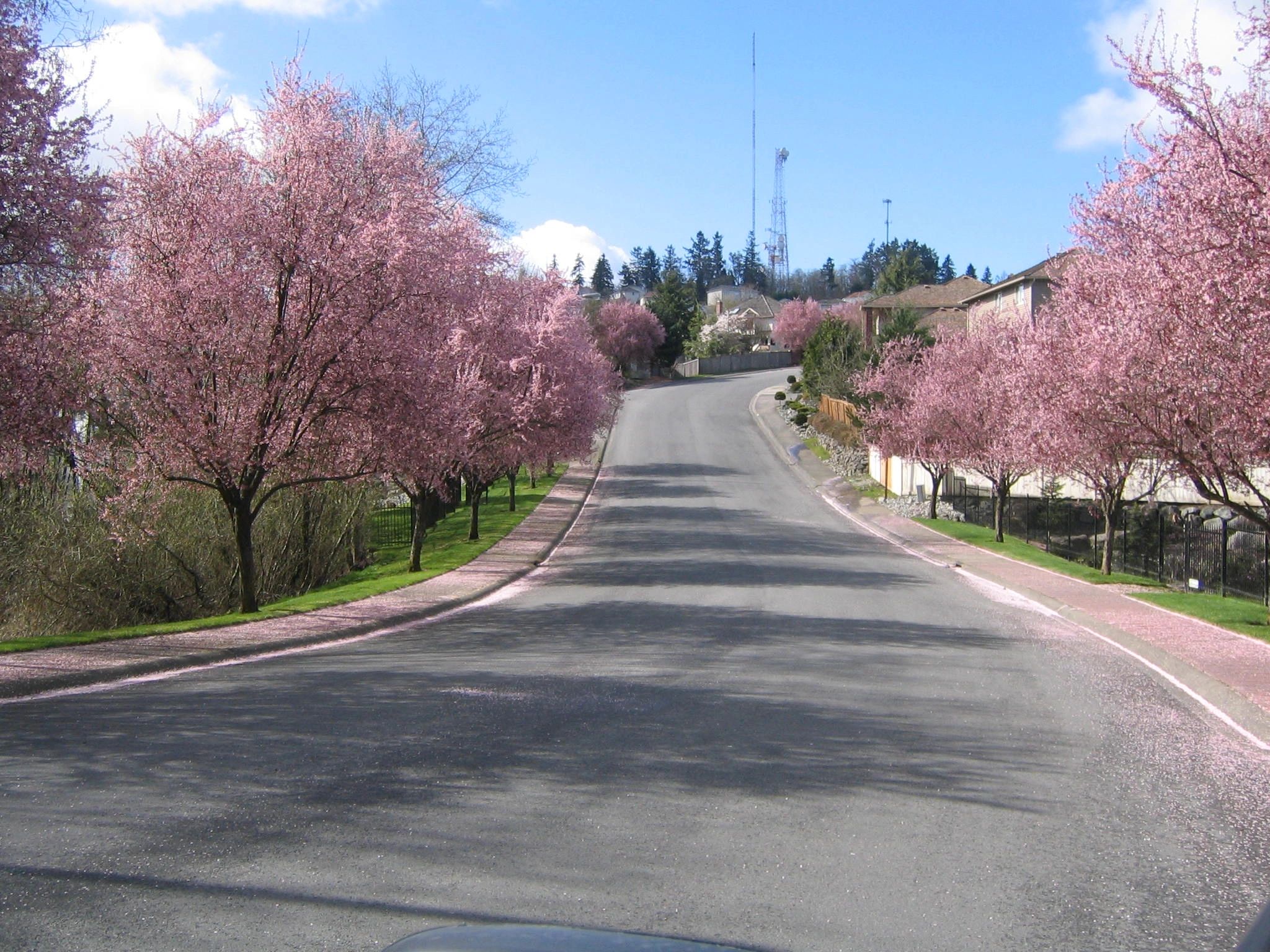 StoneBrook in Federal Way - StoneBrook