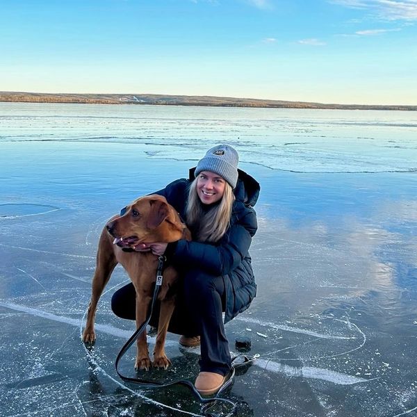 Brighton Veterinary Clinic - Vet, Veterinarian, Emergency Vet