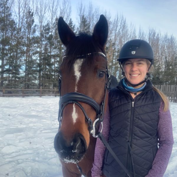 Brighton Veterinary Clinic - Vet, Veterinarian, Emergency Vet