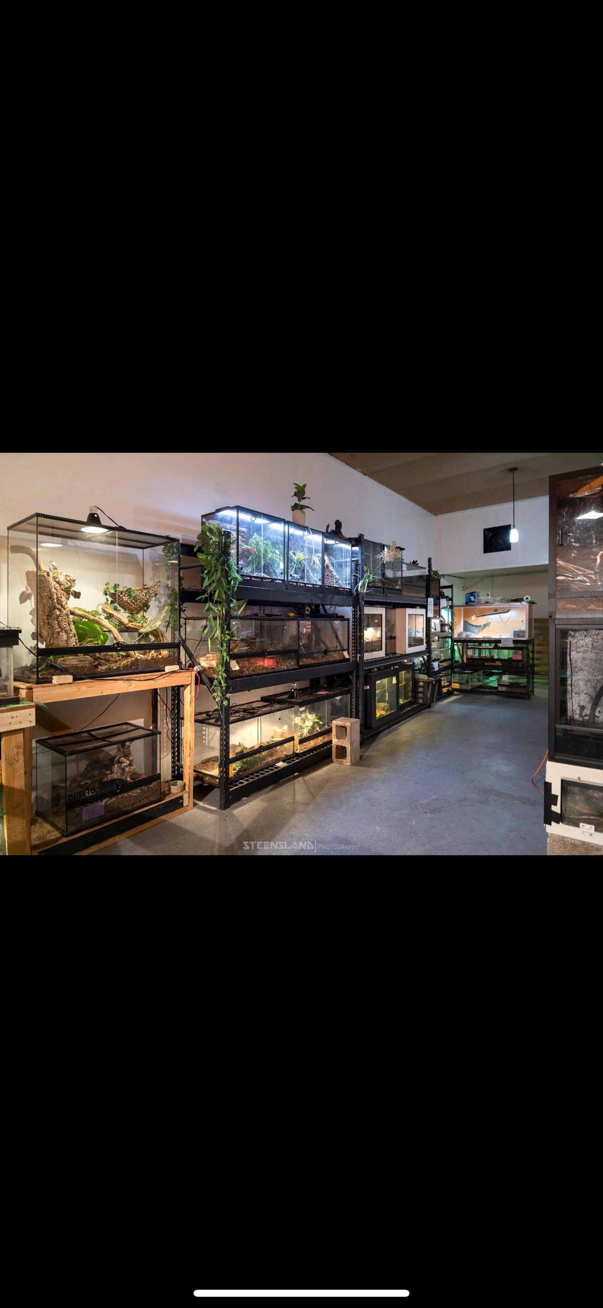 Volunteer Application, Animal Volunteer Opportunities, Volunteer With ...