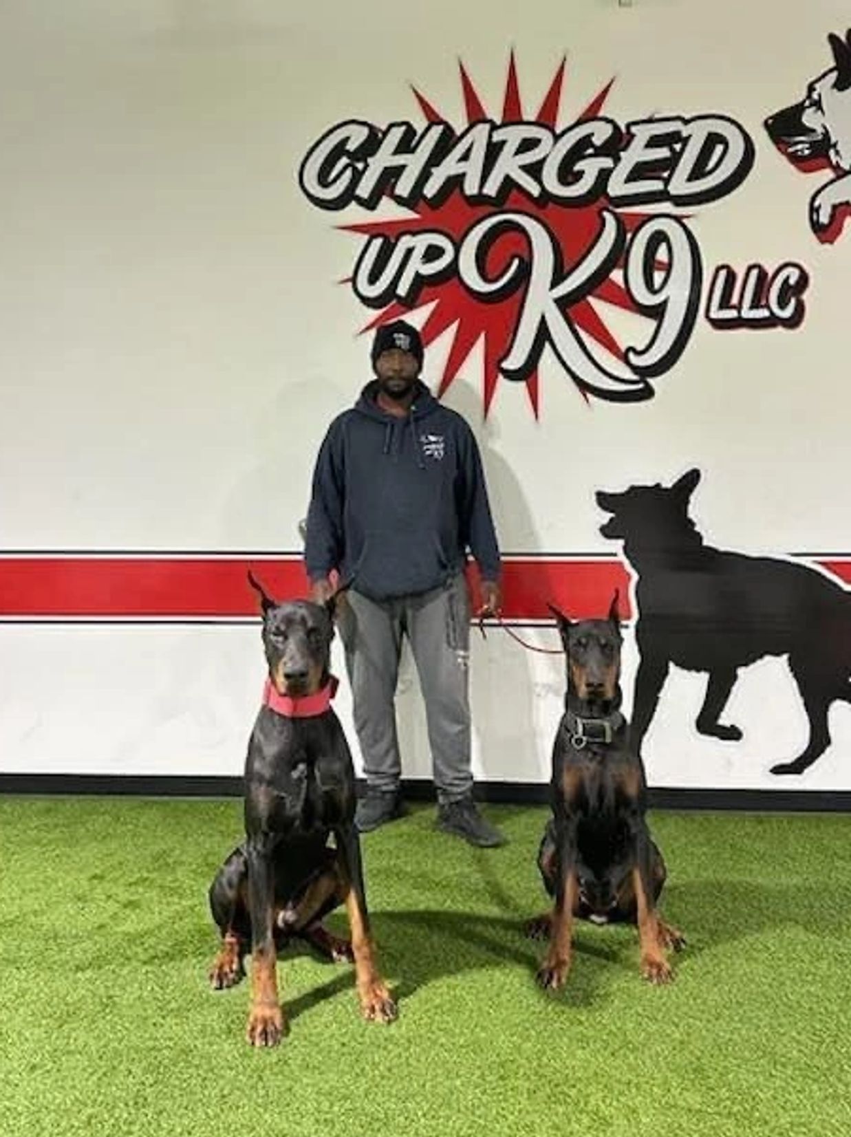 Training/Trained Dogs