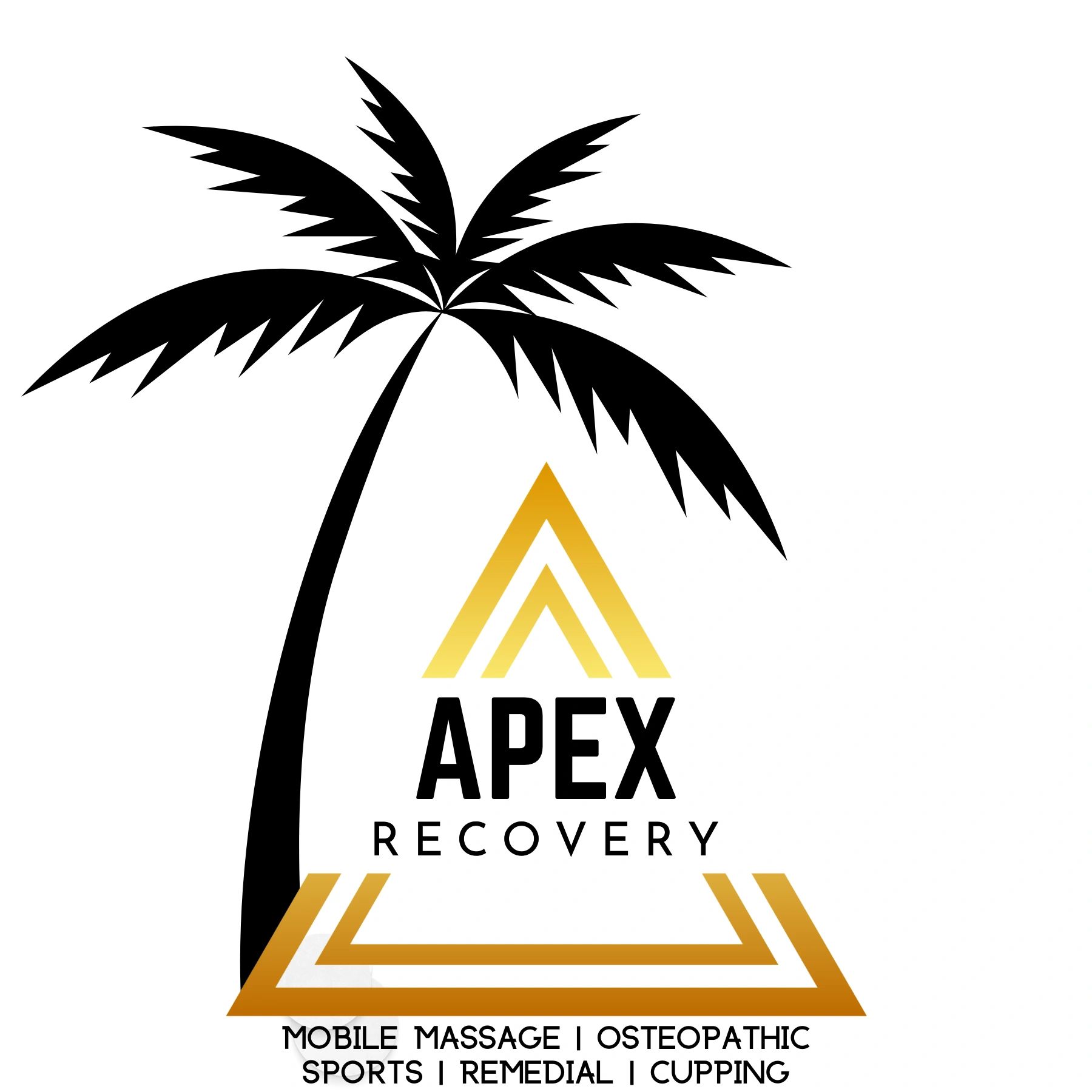 APEX RECOVERY