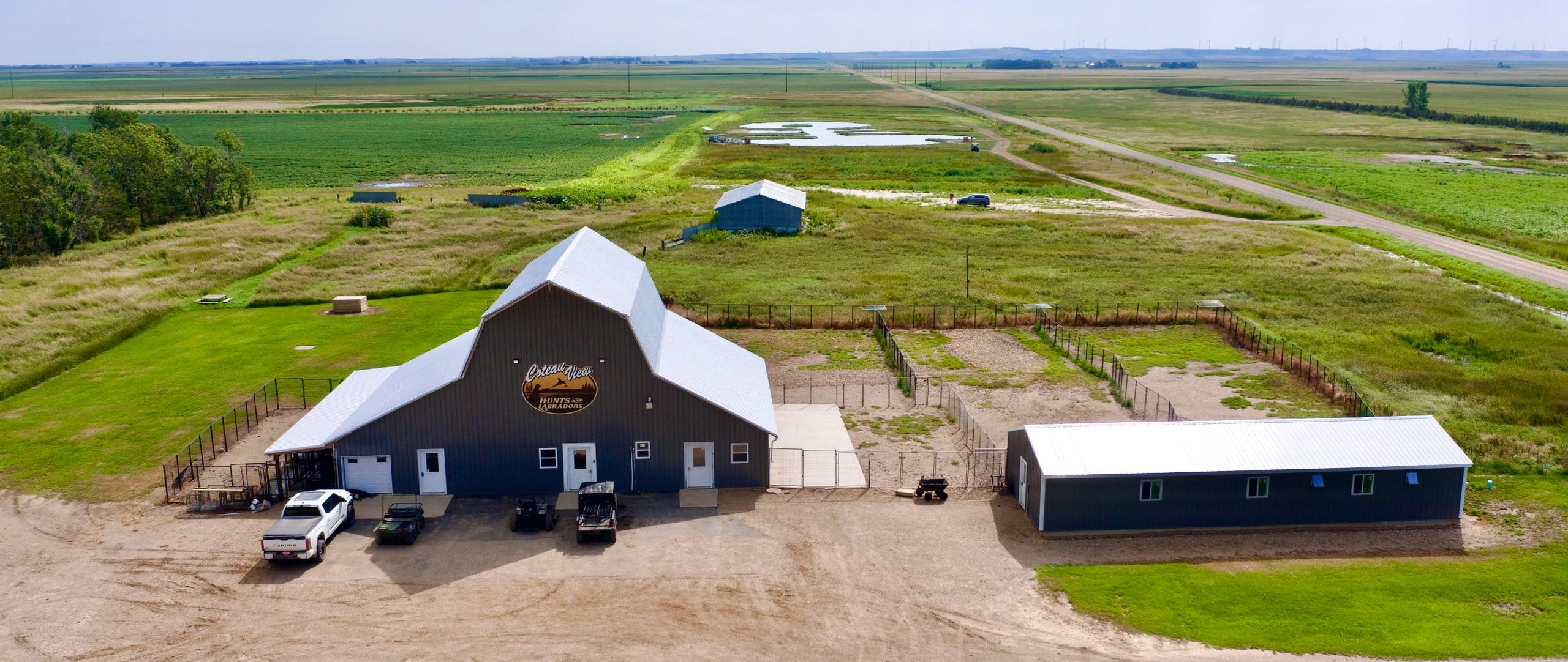 South Dakota Pointing Lab Studs | Coteau View Kennels | Conde, SD
