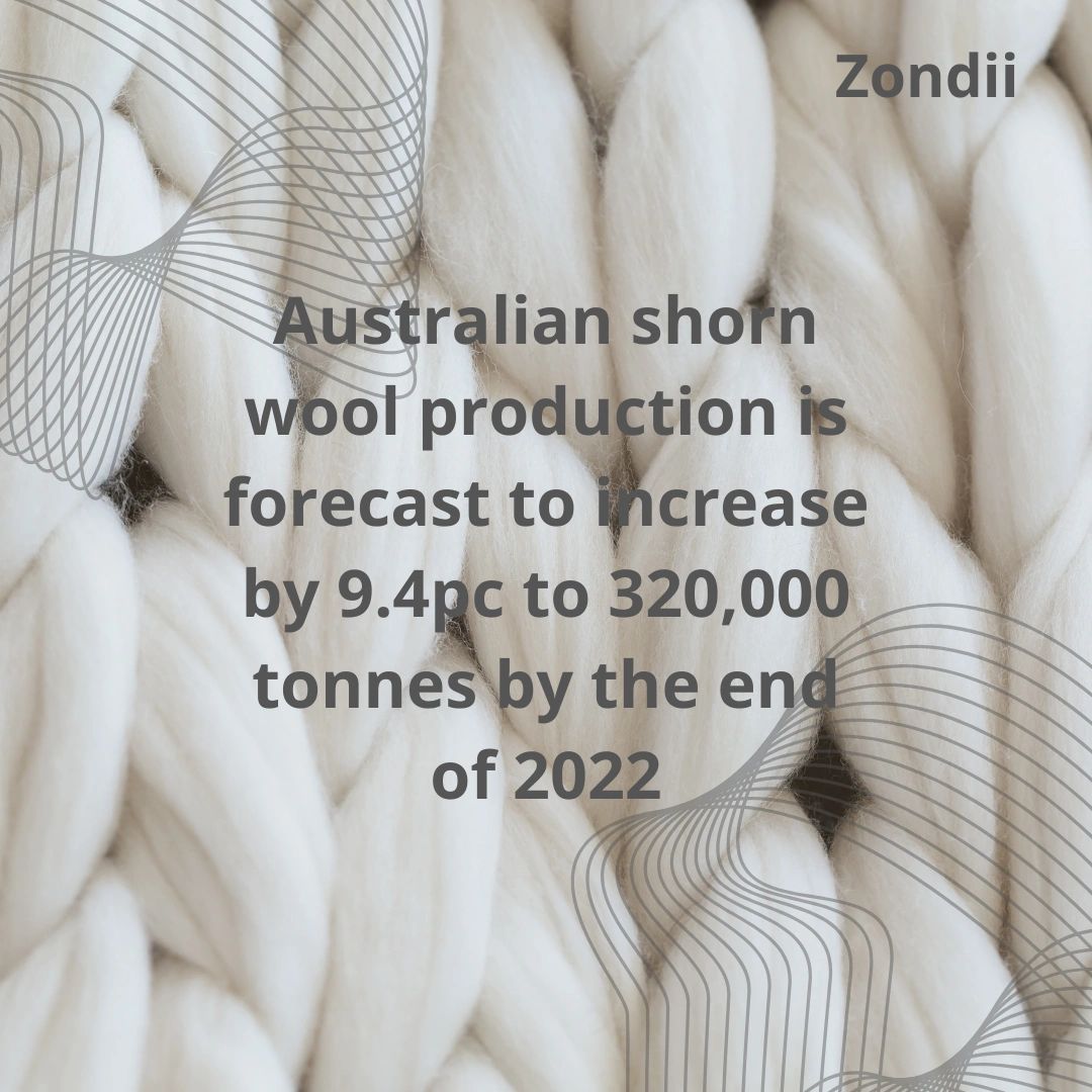 The wool supply chain