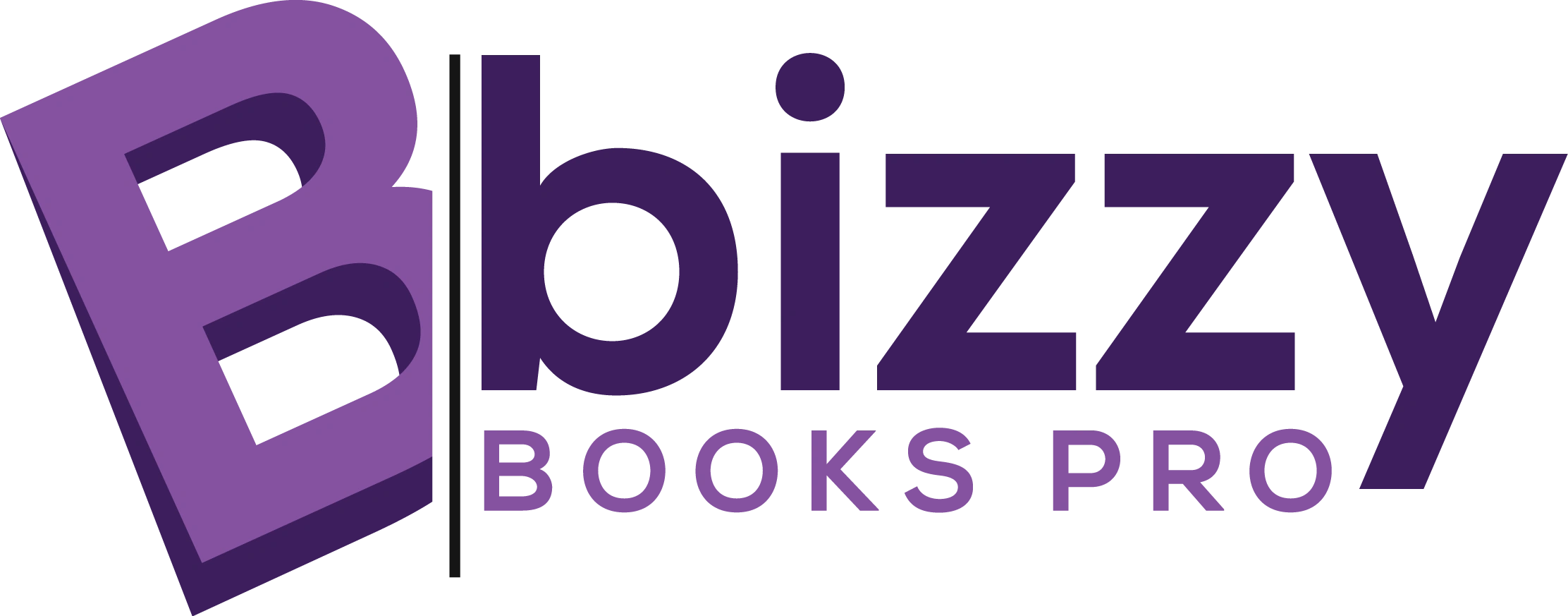Bizzy Books Pro