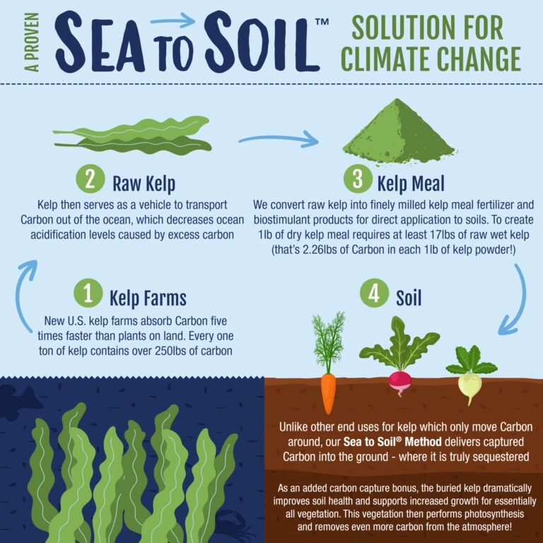 The Benefits of Seaweed for Soil Renewal, and Horticulture.