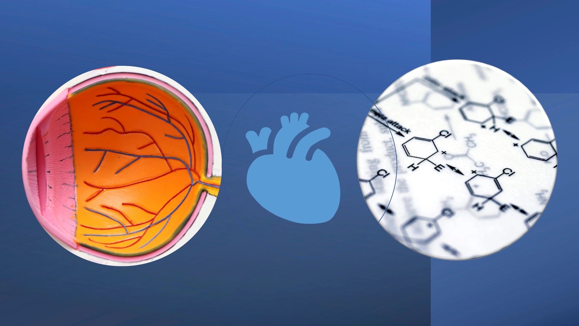 Prolindox – Leading Innovators in Biotechnology