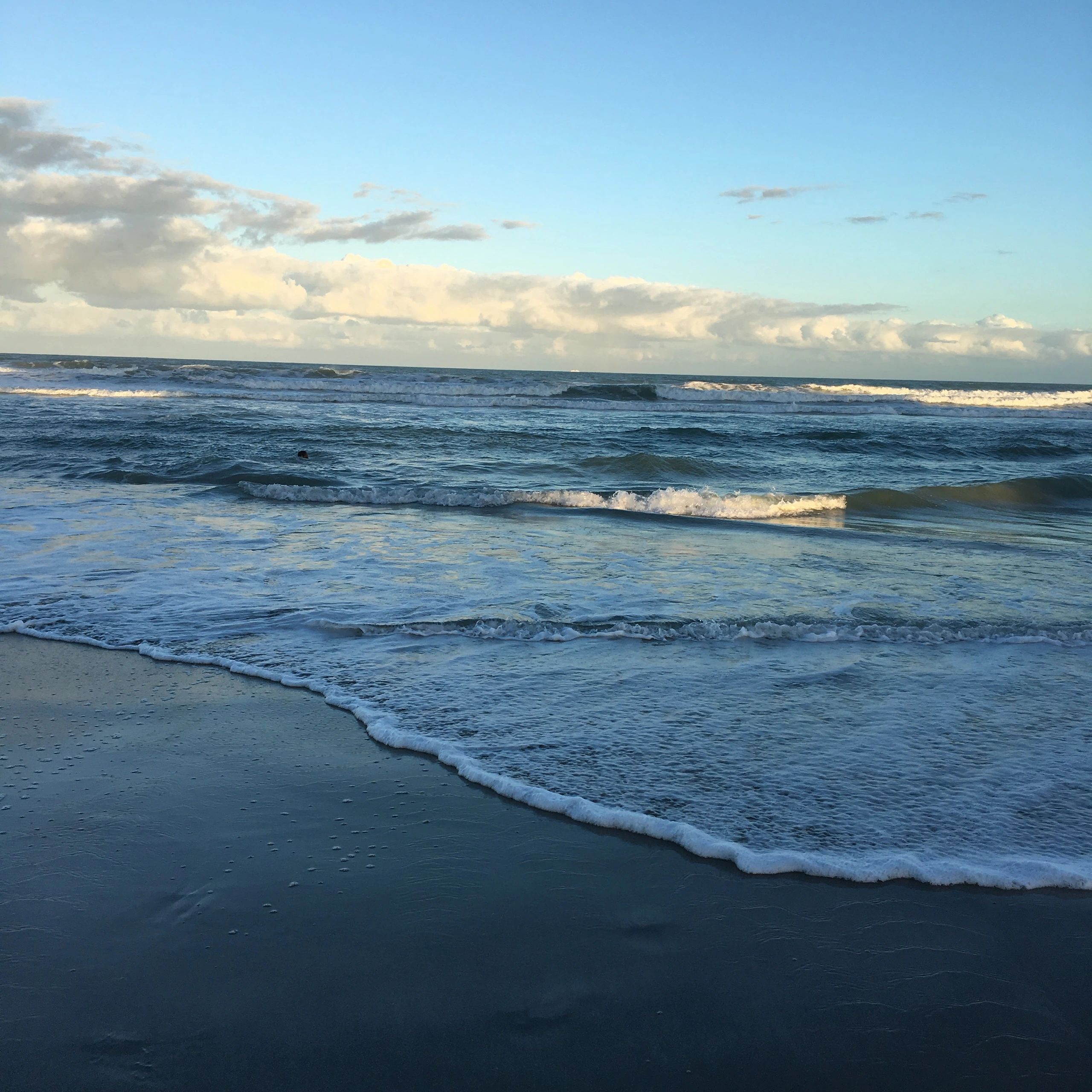 Susan Barner, APRN-BC