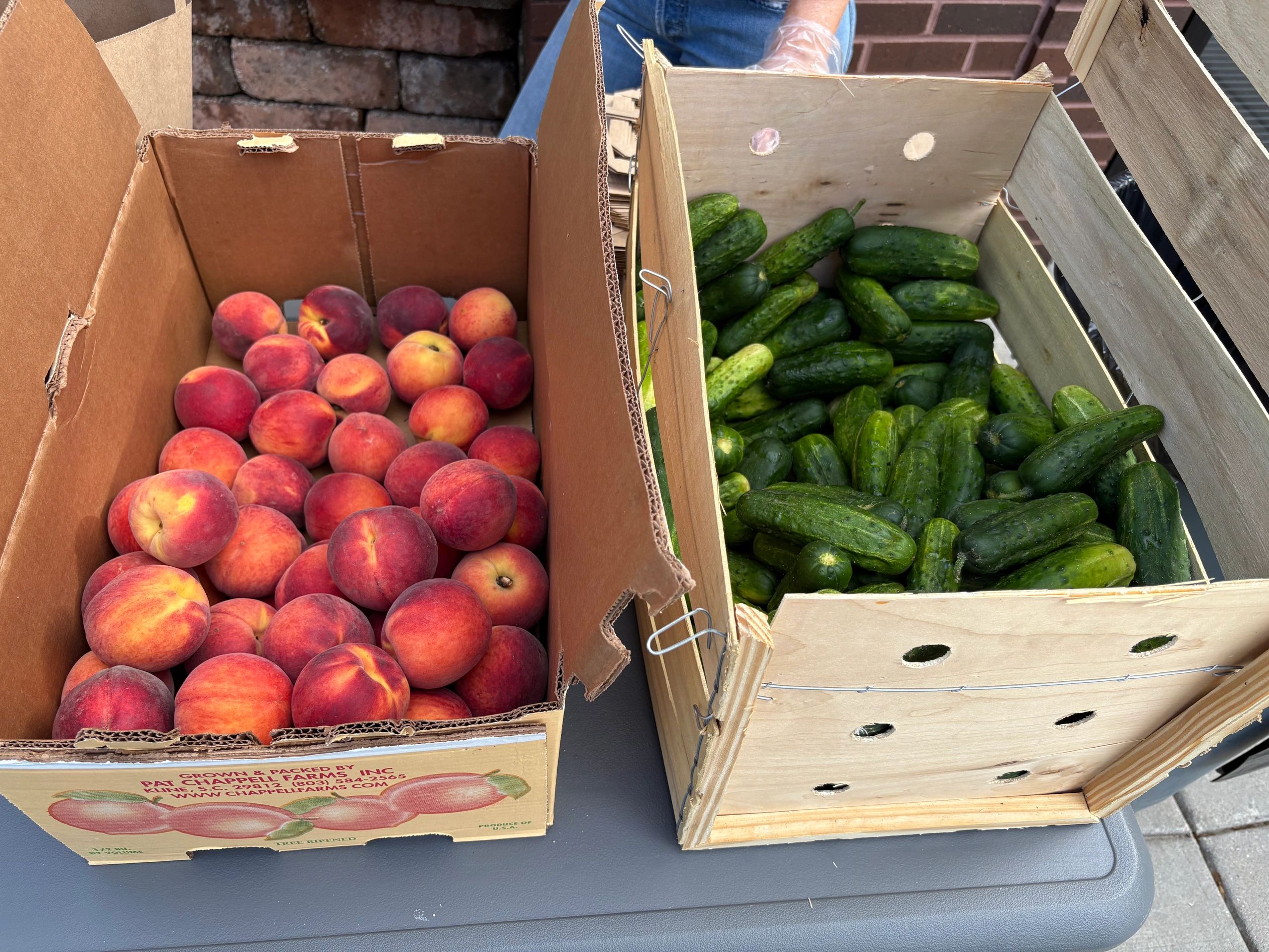 Hope Food Distribution Services