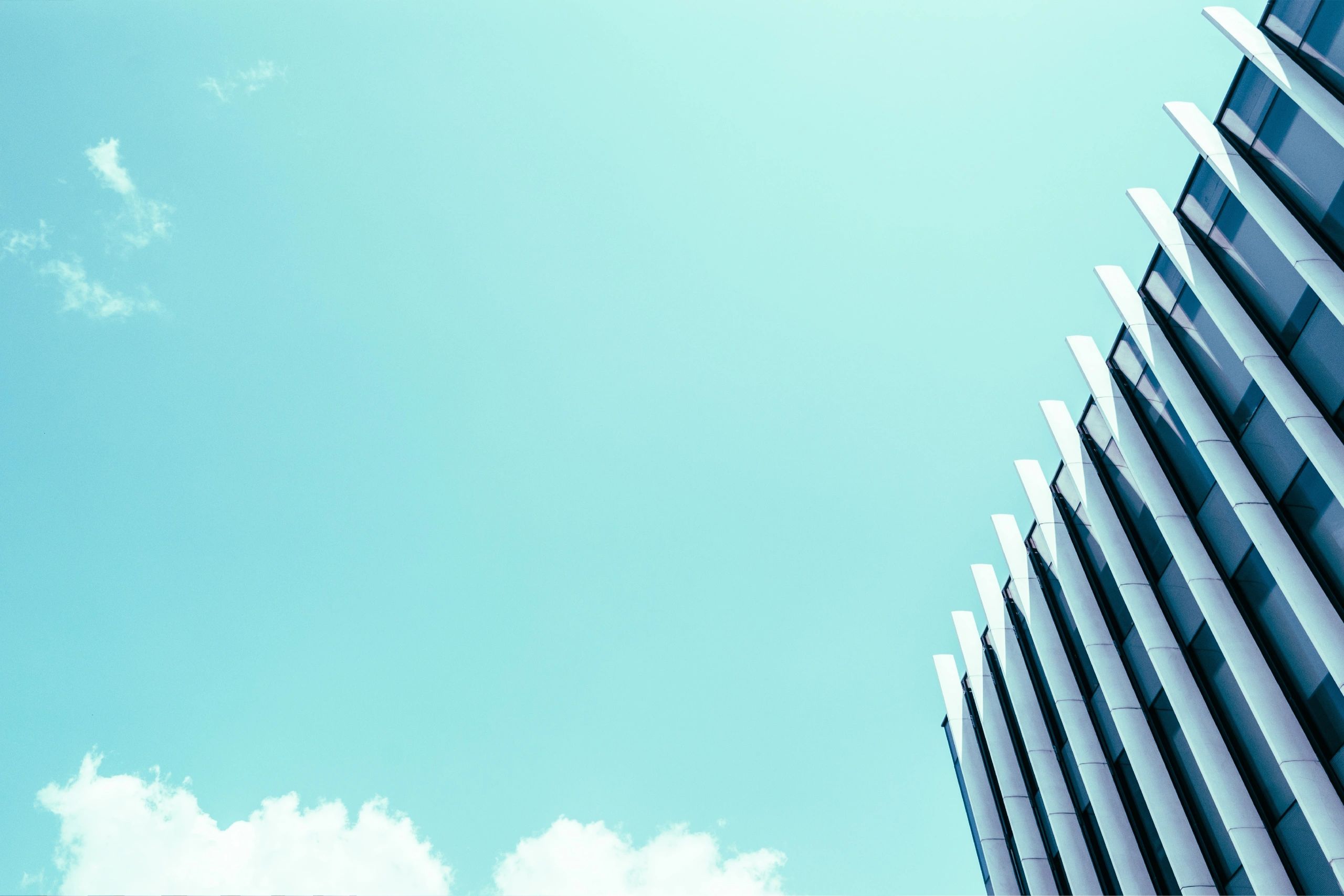 Elysium Digital - Culture, Career Satisfaction