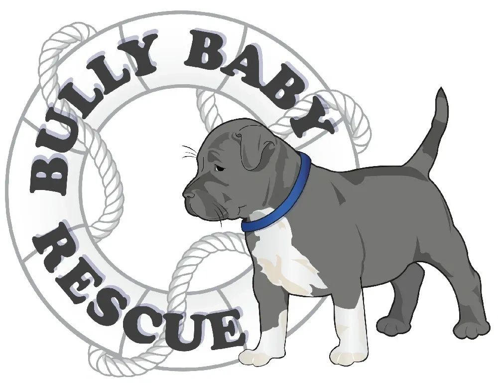 Bully Baby Rescue - 501 C 3 - Port Chester, New York