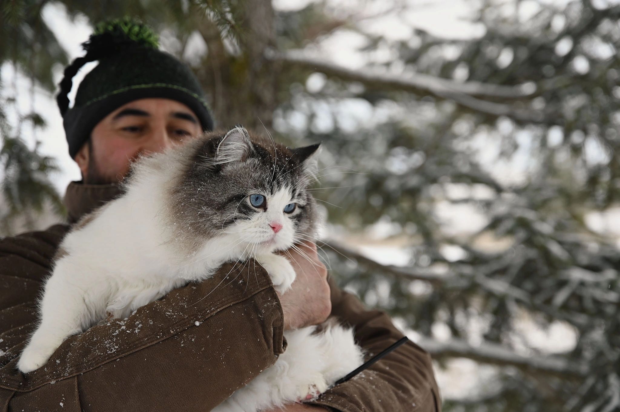 10 Fascinating Cat Facts Every Cat Lover Should Know