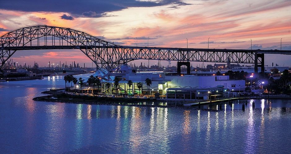 Intravascular Ultrasound | Bay Vascular Surgery