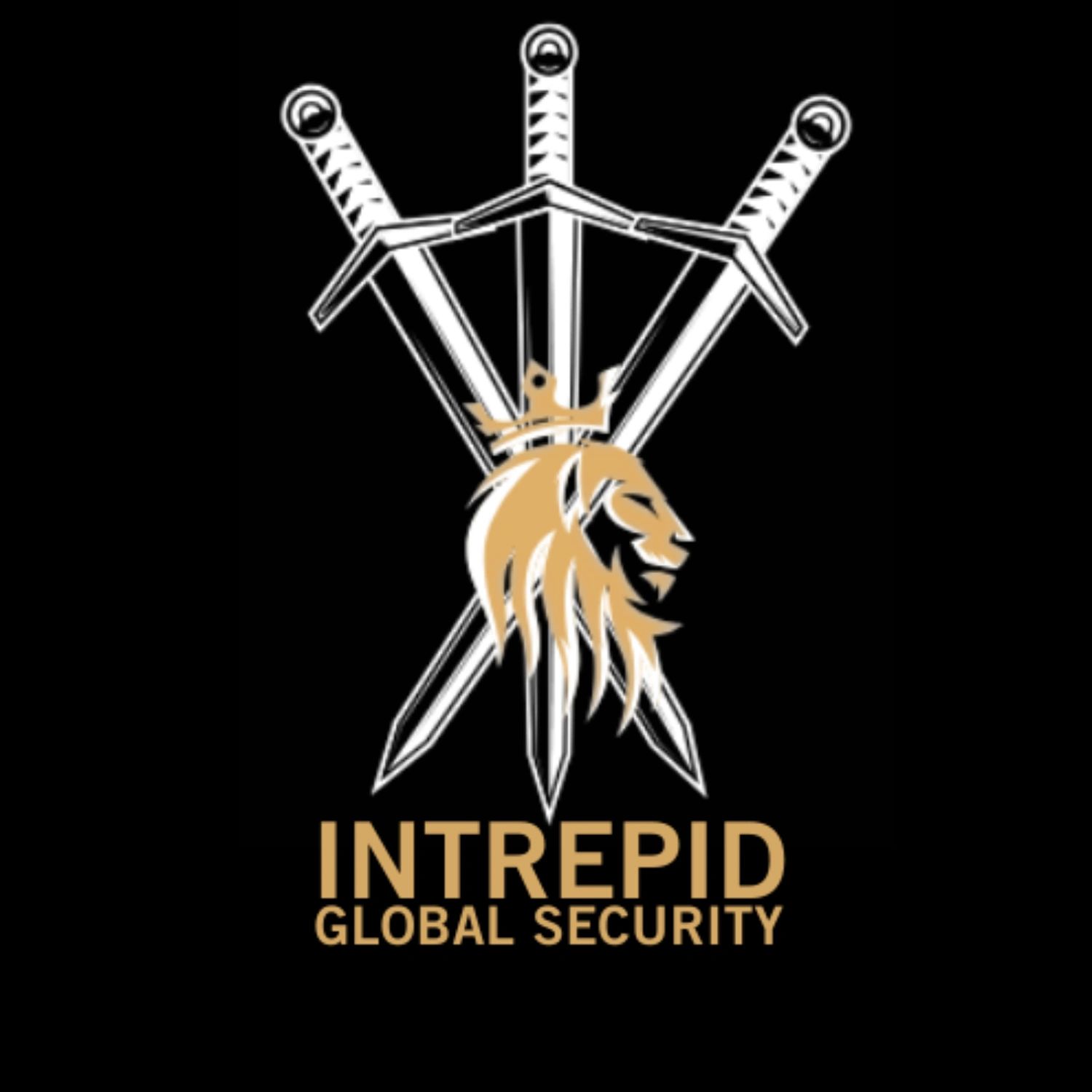 Intrepid Global Security